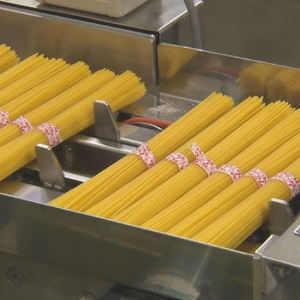 Exploring Pasta Production: From Mixing to Extrusion Techniques - Loyal