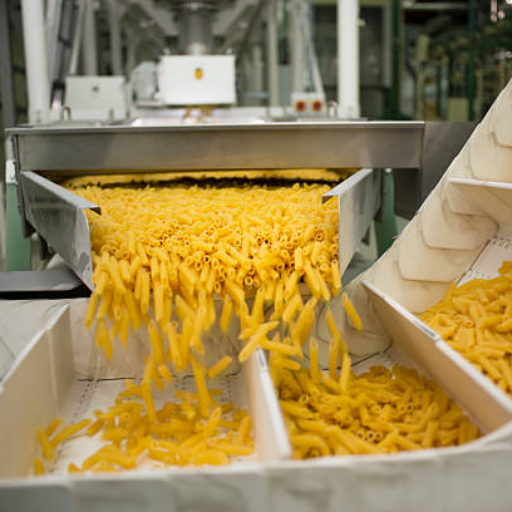 The Ultimate Guide to Choosing a Macaroni Pasta Production Line: Key ...
