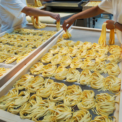 Everything You Need to Know About Setting Up a Small Pasta Production ...