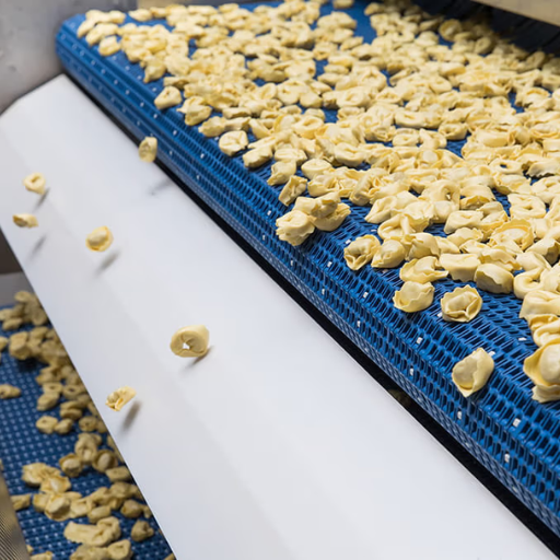 Everything You Need to Know About Setting Up a Small Pasta Production ...